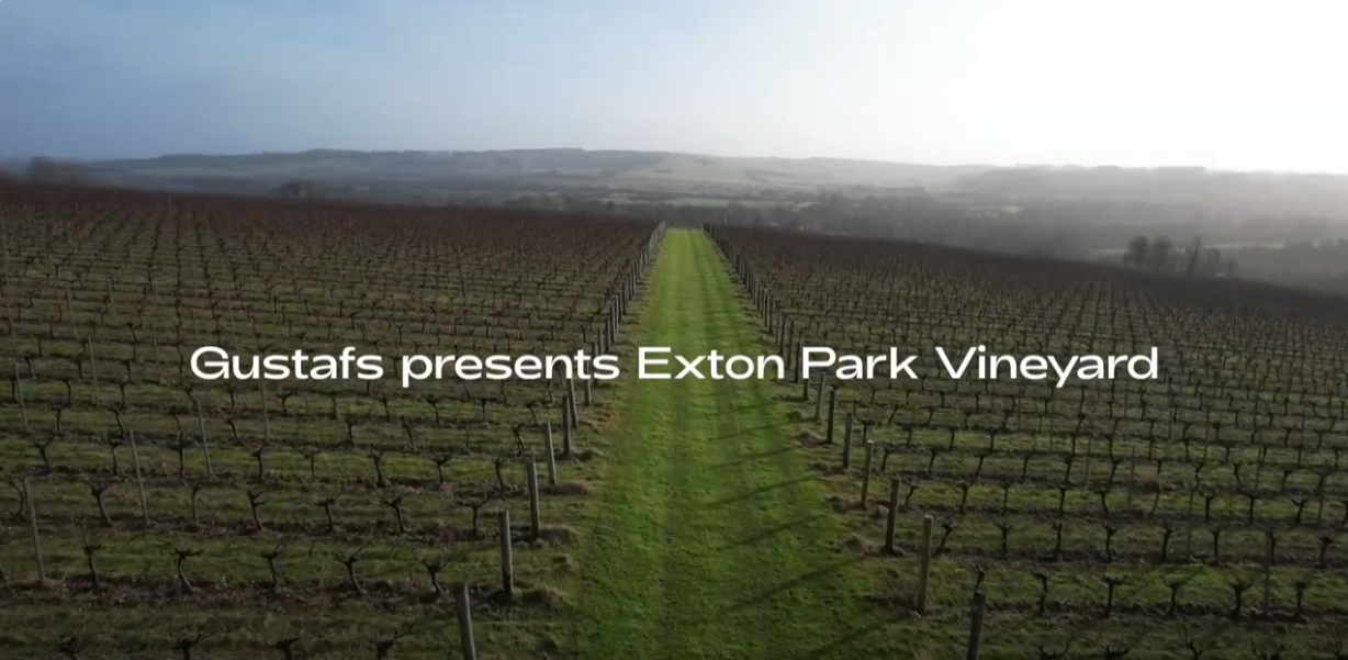 Gustafs Presents: Exton Park - LSA Projects Ltd